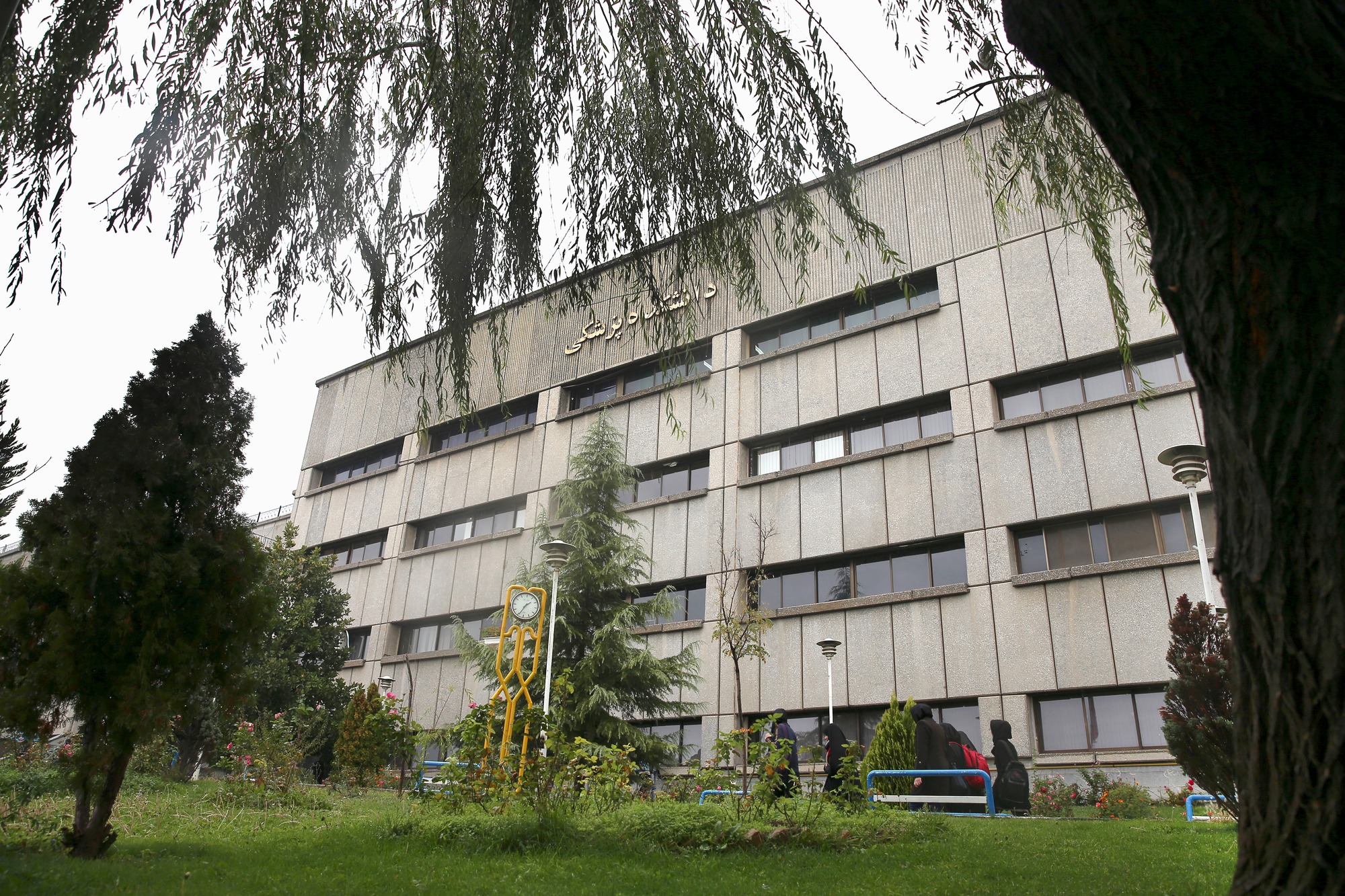 دانشگاه علوم پزشکی شهید بهشتی | دانشگاه علوم پزشکی شهید بهشتی در یک نگاه